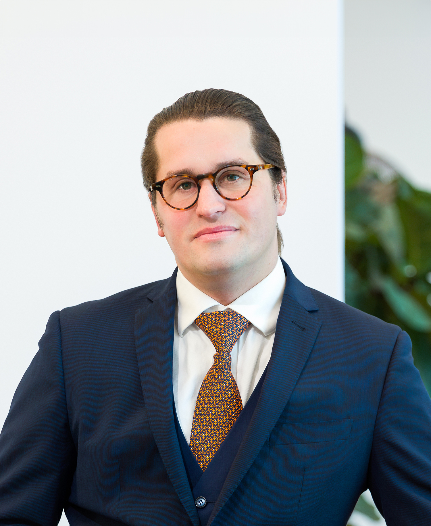 Björn Stiegler - hss-ip